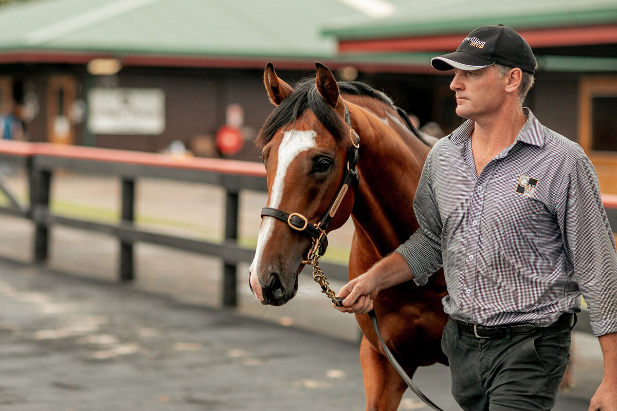 Meet the Breeder | New Zealand Thoroughbred Breeders' Association