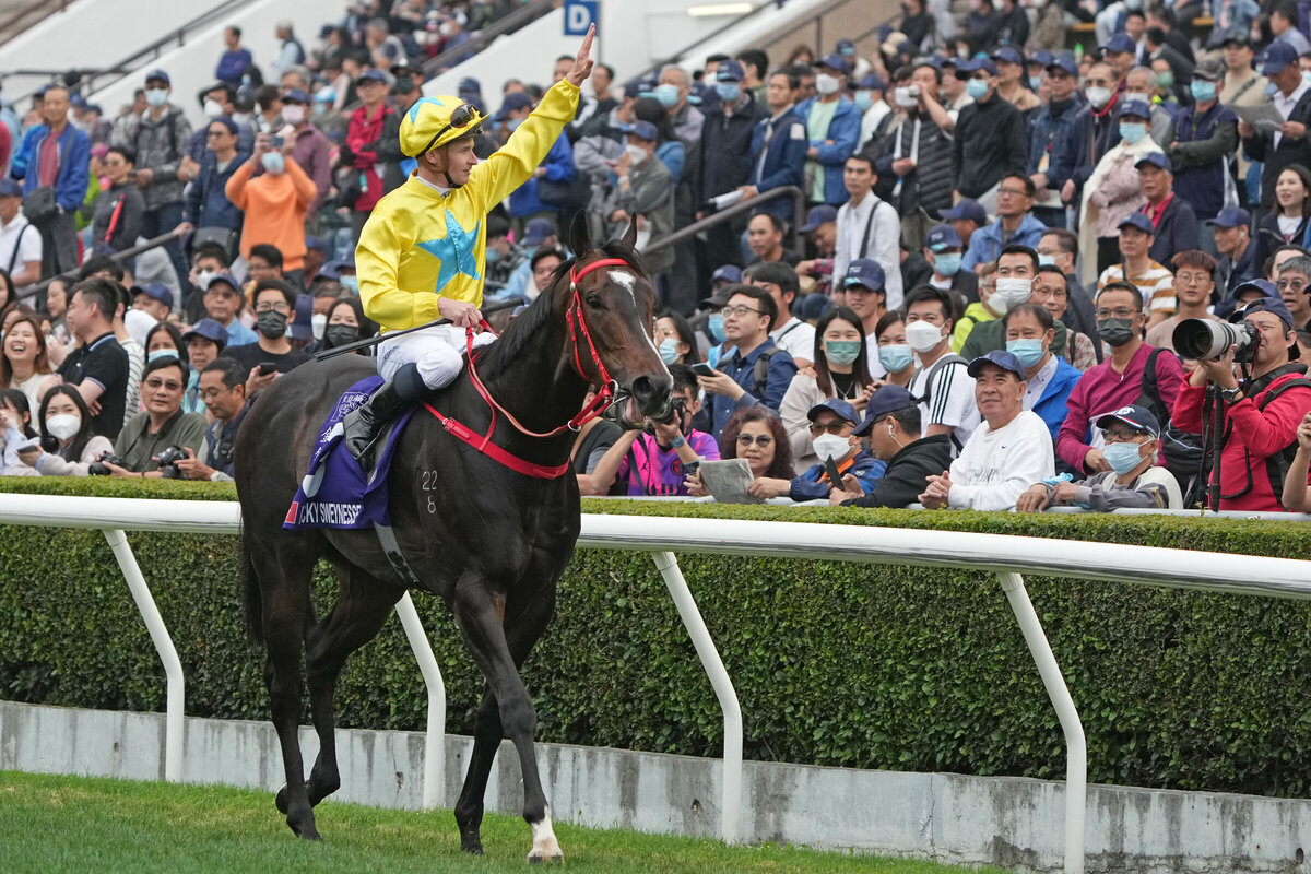 NZ HORSE OF THE YEAR | New Zealand Thoroughbred Breeders' Association