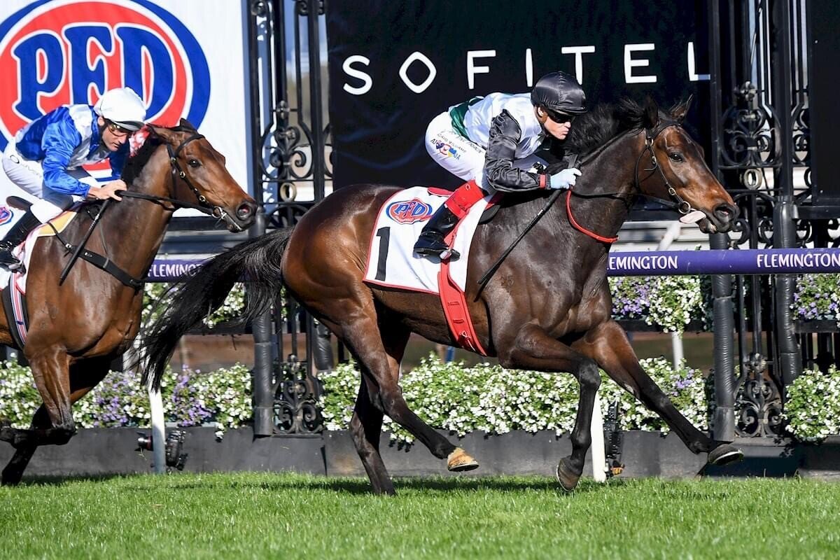 NZ HORSE OF THE YEAR | New Zealand Thoroughbred Breeders' Association