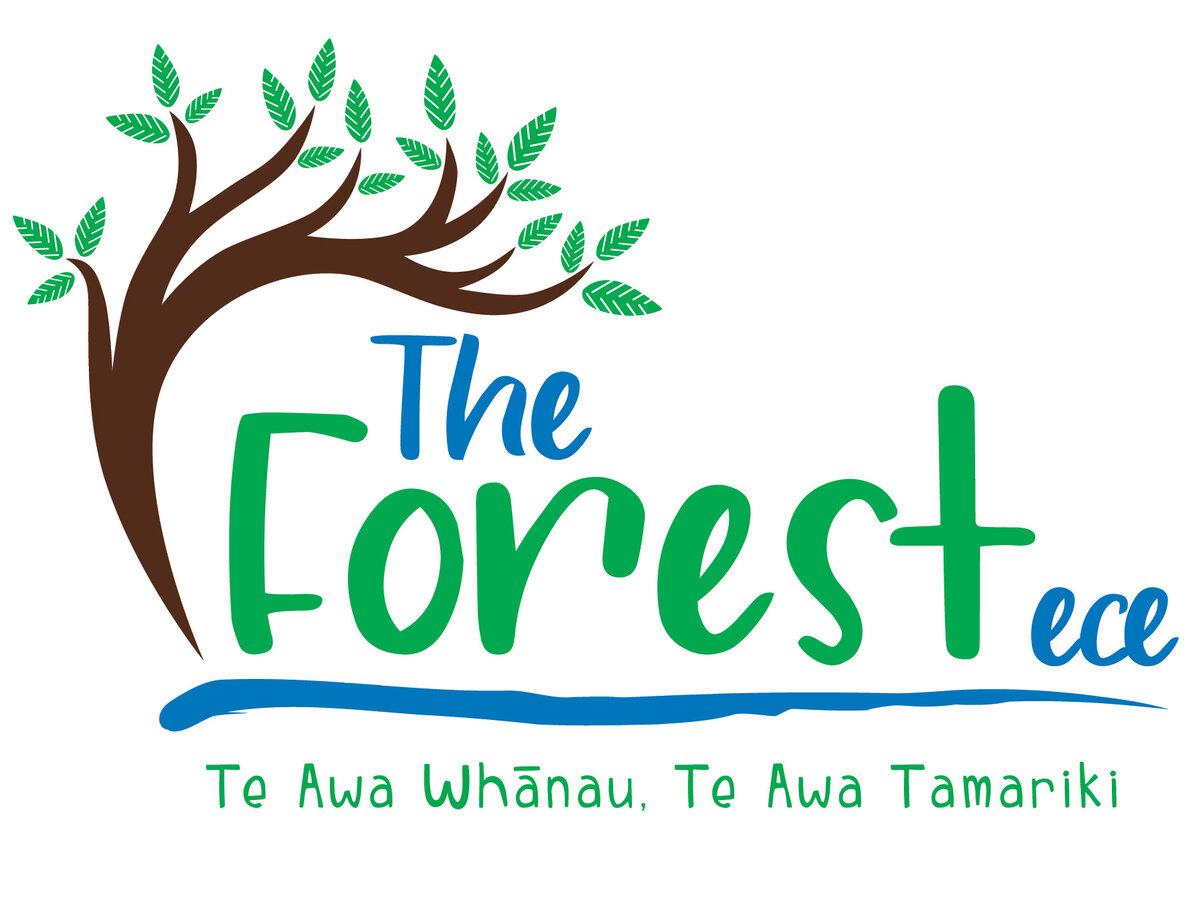 Featured Client - The Forest ECE | Accounted4