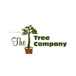 Featured Partner - The Tree Company | Accounted4