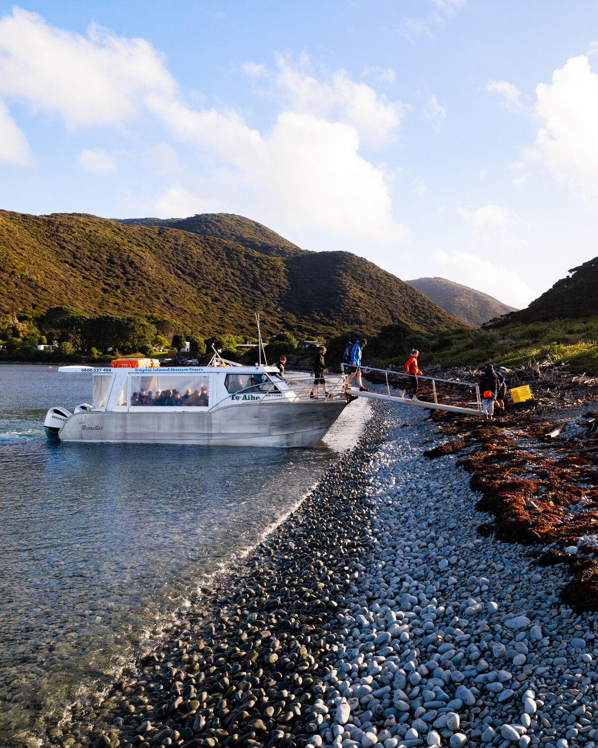 Kapiti Island Nature Tours