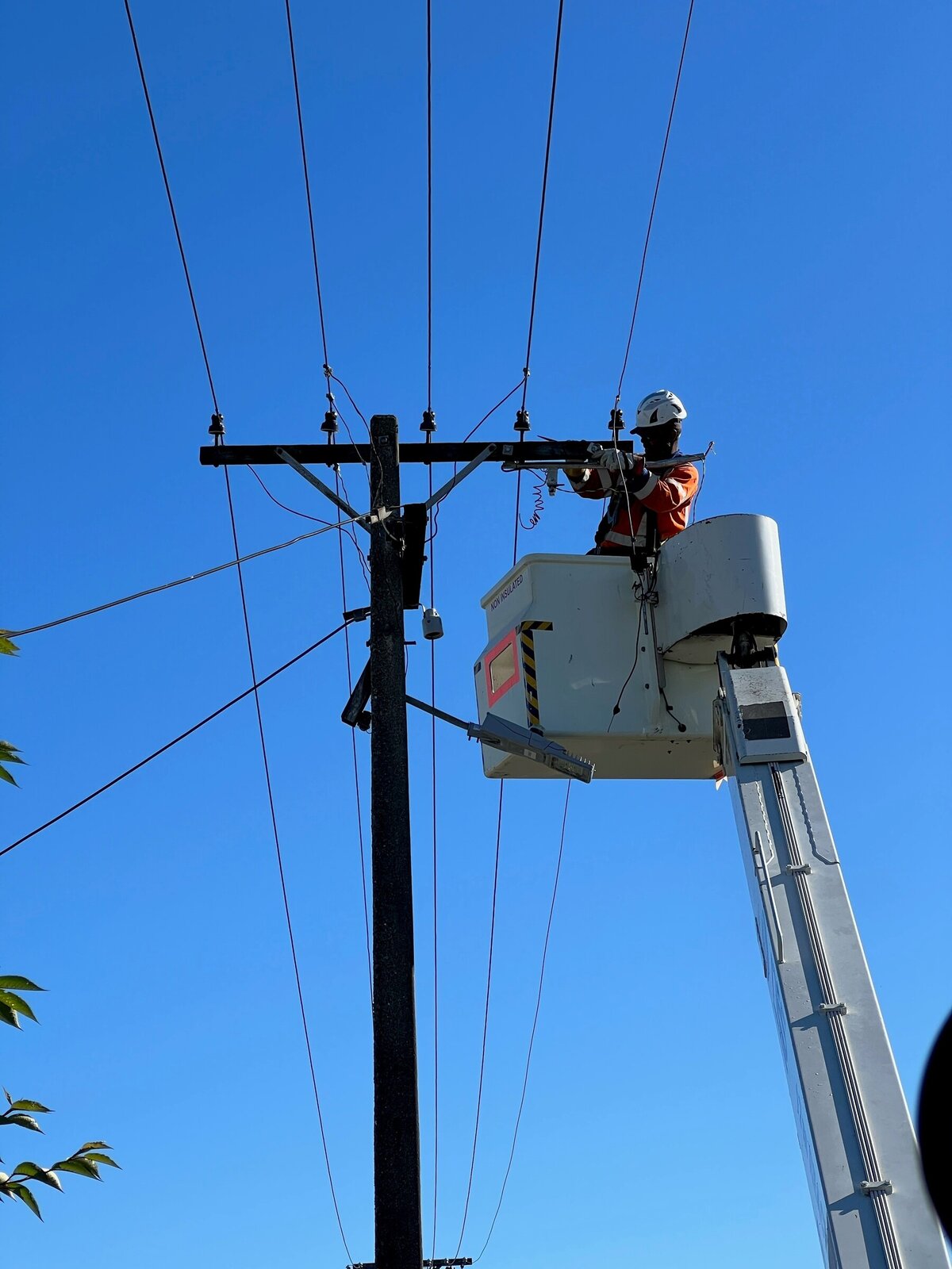 Network Electrical Servicing | Dunedin | NES