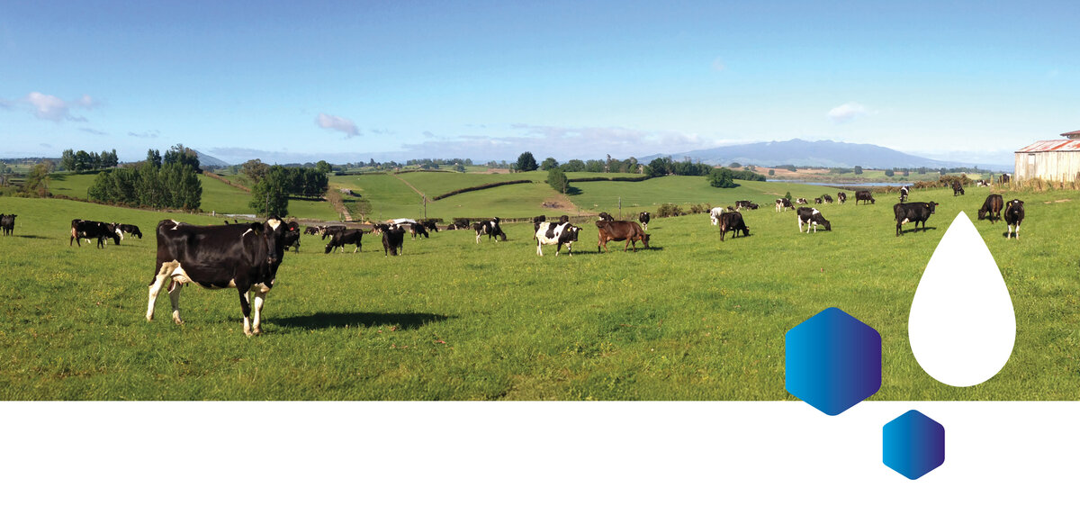 Intelact group | New Zealand | Nutrinza Limited