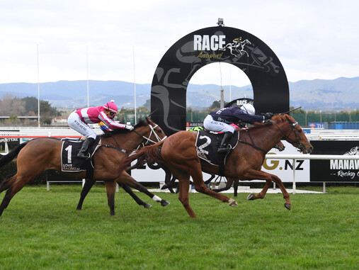 home [pearlseries.nzthoroughbred.co.nz]