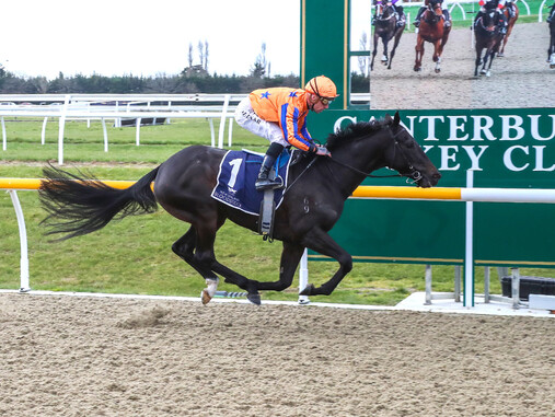 home [pearlseries.nzthoroughbred.co.nz]