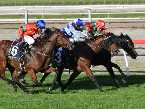 home [pearlseries.nzthoroughbred.co.nz]