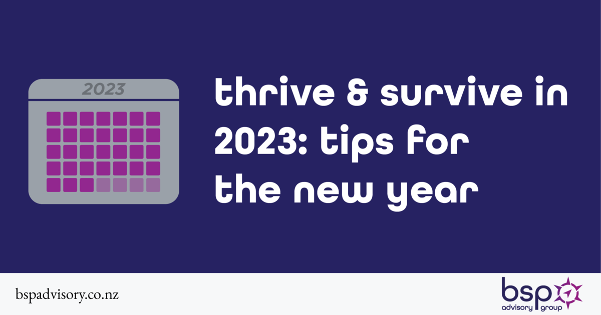 Will your business Thrive & Survive in 2023? | BSP Advisory Group