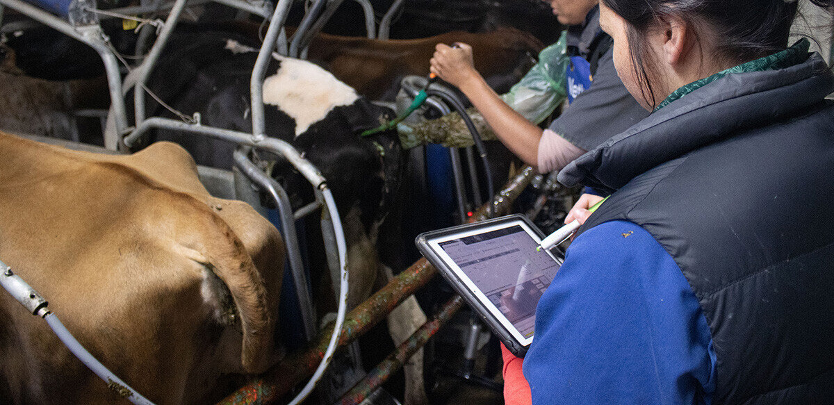 It's scanning season | West Coast Vets
