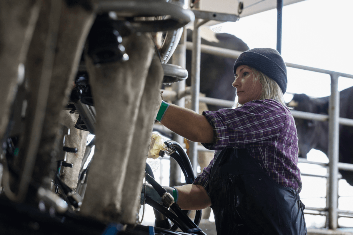 A new leptospirosis vaccine | West Coast Vets