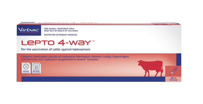 Lepto vaccine update | West Coast Vets