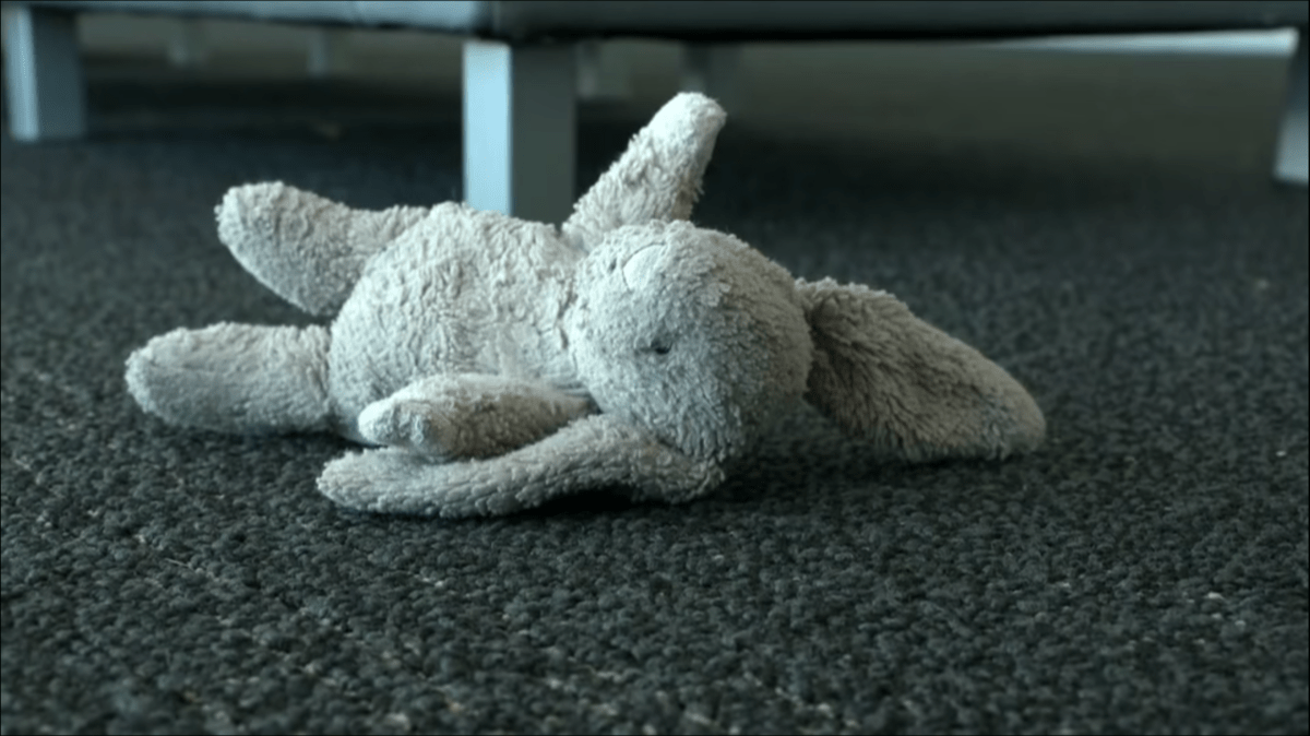 Meet WINK: Hamilton Airport's media sensation! | Hamilton Airport