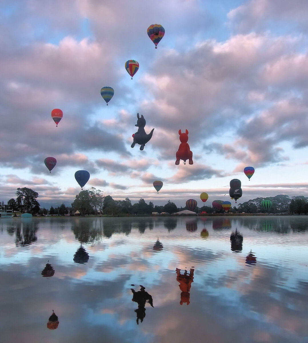 Taking flight together: Hamilton Airport partners with Balloons Over ...