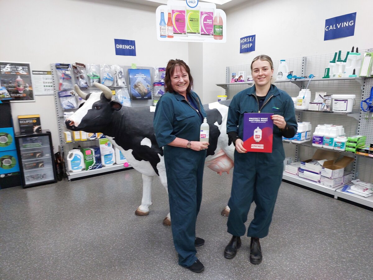 Calf vaccine regime – Lepto 4-Way | Vet Clinic Morrinsville