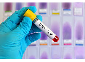 Insurance and DNA Testing | Moneyworks NZ Ltd