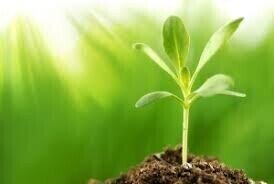 TODDLERS | Nature's Cove