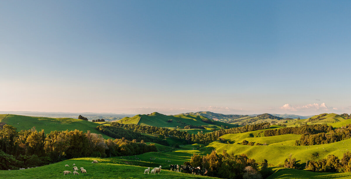 New Zealand Farm Assured Programmes | NZFAP | NZ Farm Assurance ...