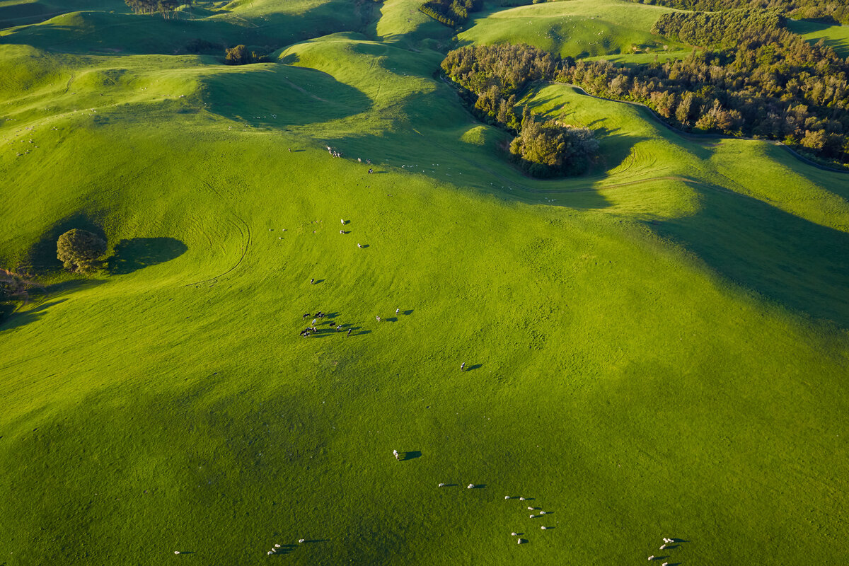 About Us | NZ Farm Assurance Incorporated