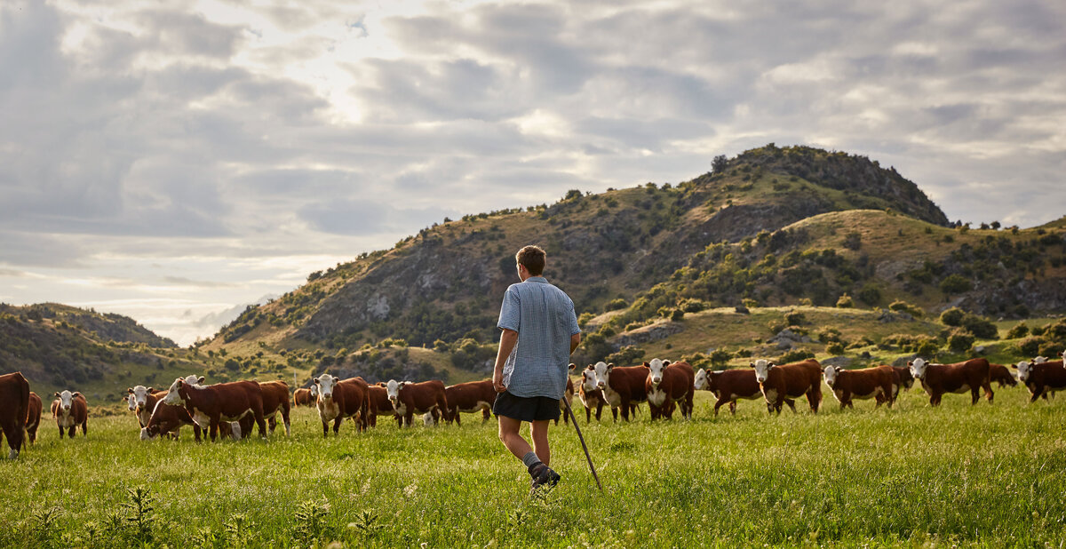 Farmers - Why get NZAP & NZFAP Plus certified? | NZ Farm Assurance ...