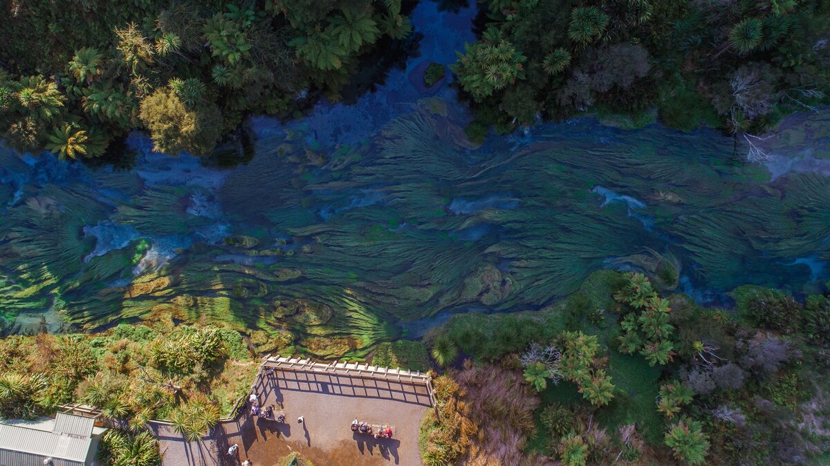 James Whetu | South Waikato Investment Fund Trust (SWIFT)