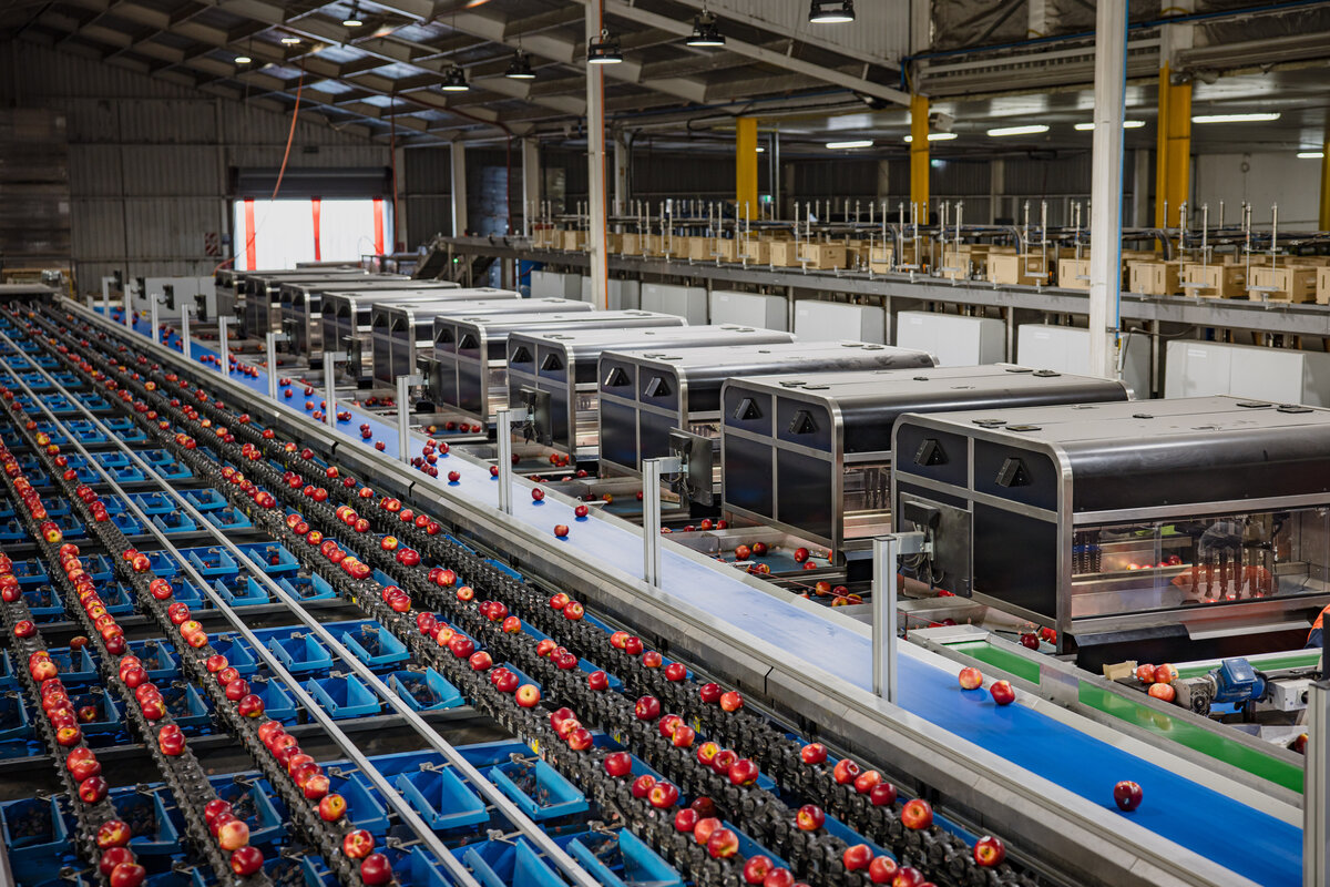 Hawk Technology Robotic Packing Solutions | Hawk Group