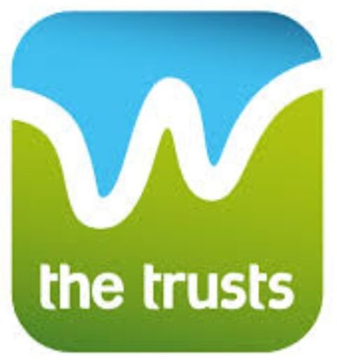 Auckland Diving | Auckland Diving Home