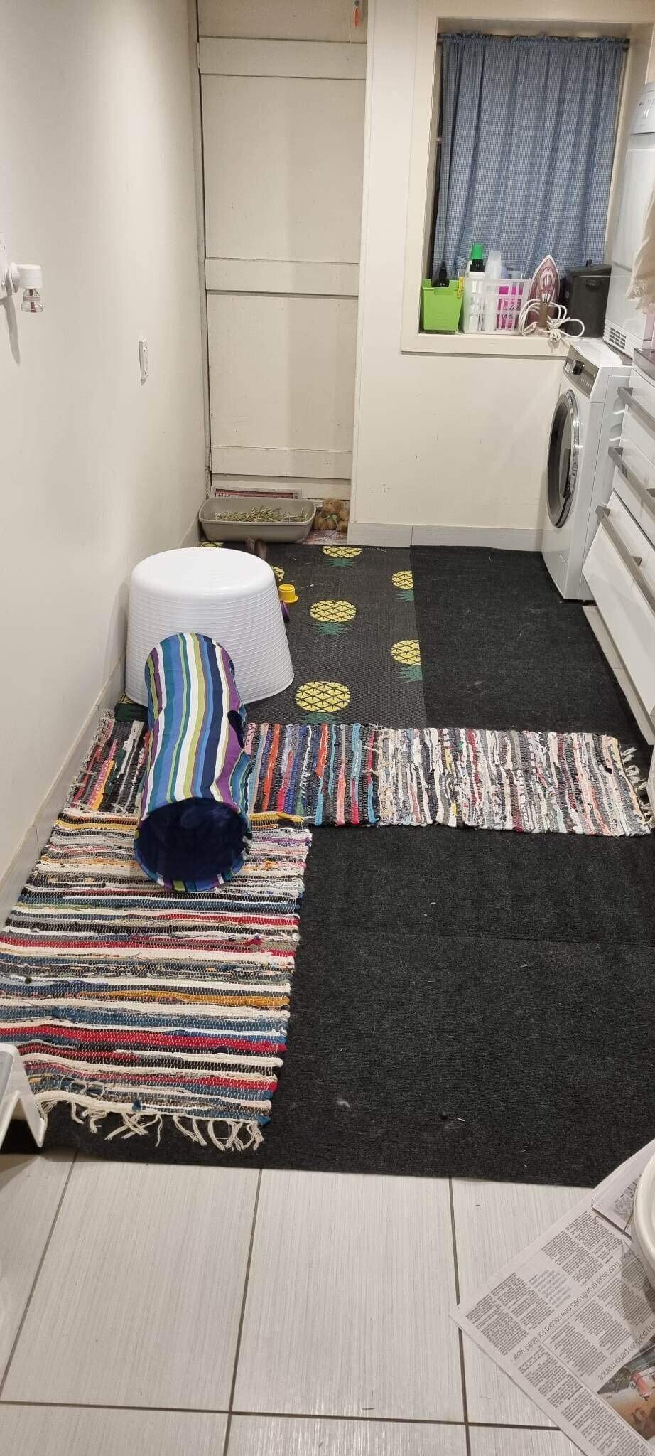 Indoor Housing | The Bunny Bach