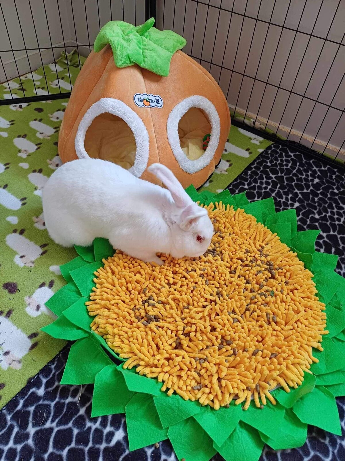 Indoor Housing | The Bunny Bach