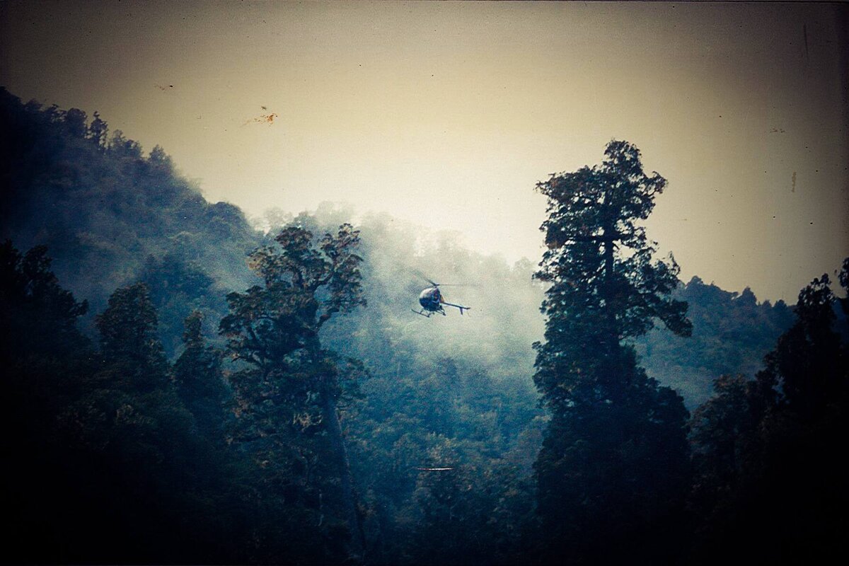 Feral Goat Hunting in the '90s | Manaaki Kaimai Mamaku