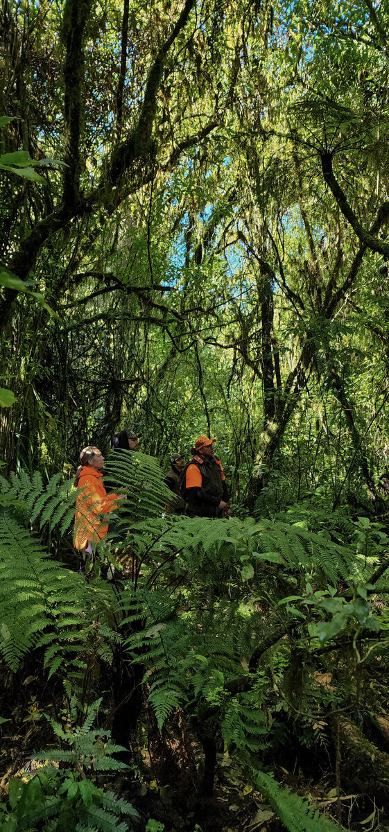 Mahuru pānui | September newsletter | Manaaki Kaimai Mamaku