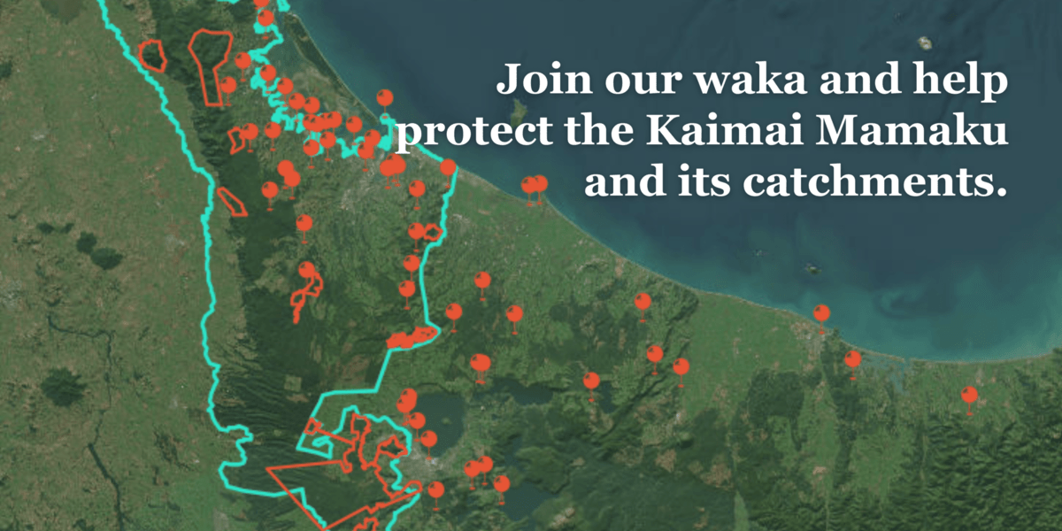 Are you our next Community Trustee? | Manaaki Kaimai Mamaku