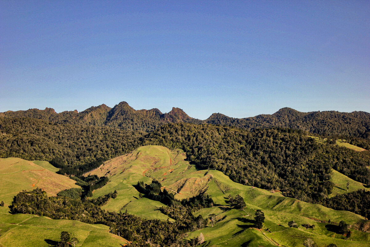 Kaupapa | Purpose | Manaaki Kaimai Mamaku