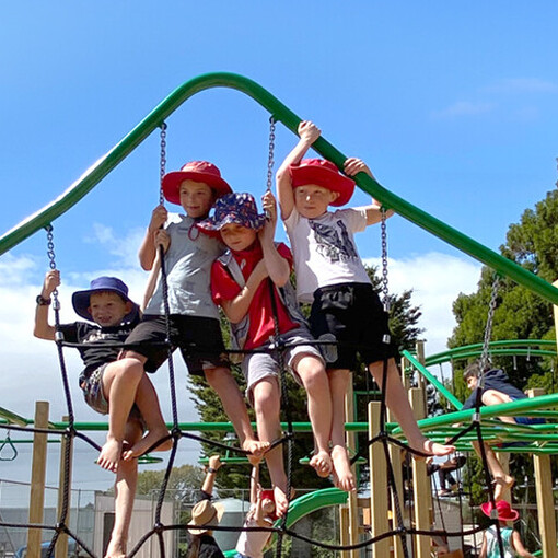 Playground Creations | School Playground Design, Build & Installation NZ