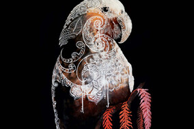 About | New Zealand portrait and landscape artist Sofia Minson | Sofia ...