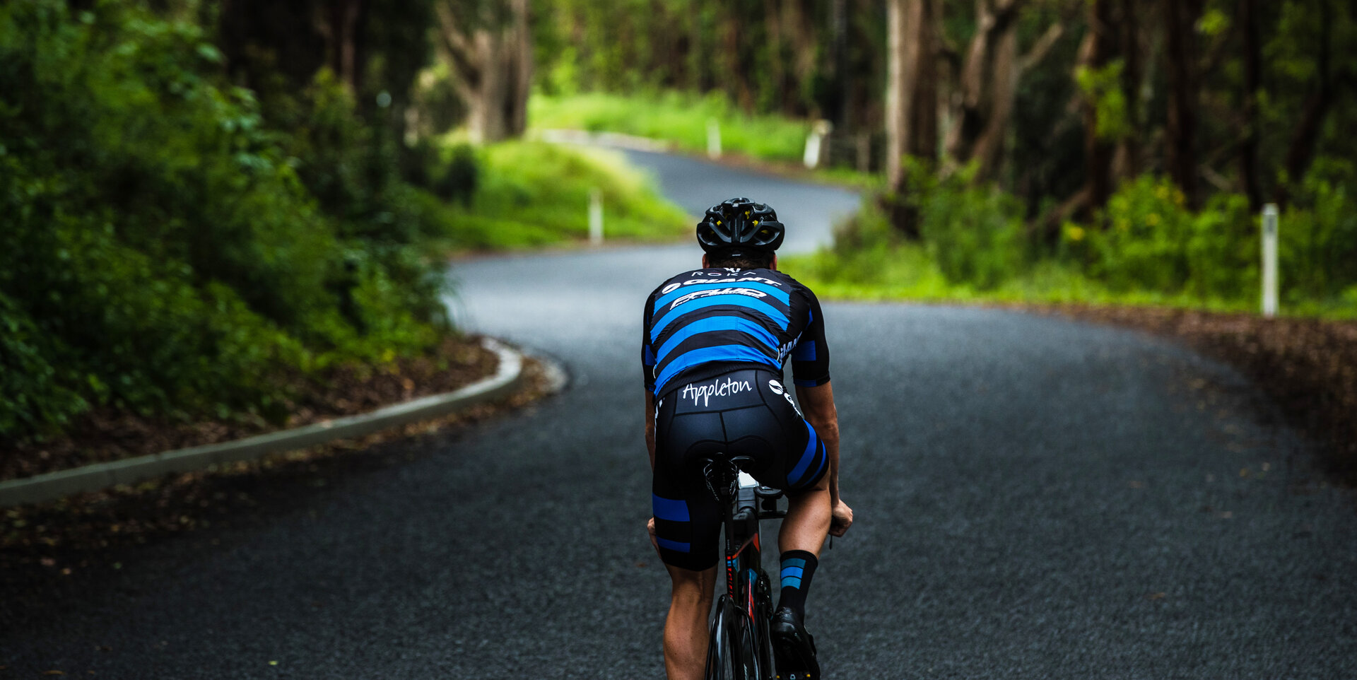 Bright Bike Hire, Victoria | Bike Hire and Repair | Cyclepath