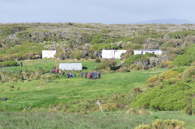 Auckland Islands/Motu Maha/Maungahuka | Robin Kermode Travels